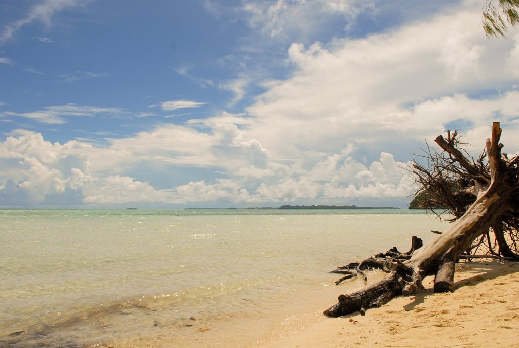 Best time to visit Southern Beaches - Rhodes Tours Africa